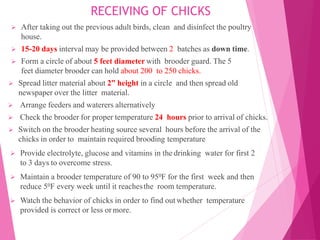 Brooding period management | PPT