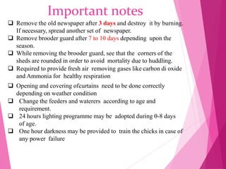 Brooding period management | PPT
