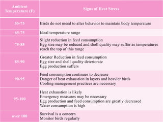 Brooding period management | PPT