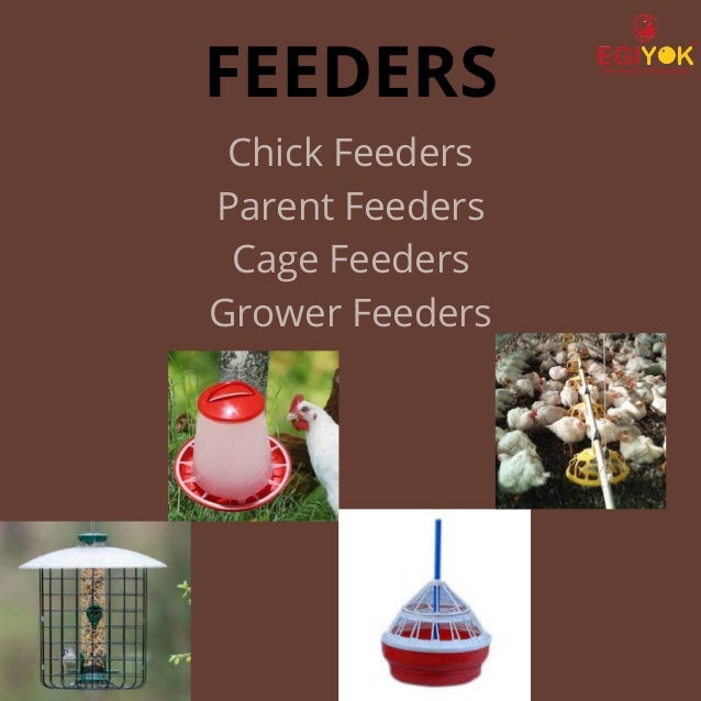 BROODING EQUIPMENTS | PDF