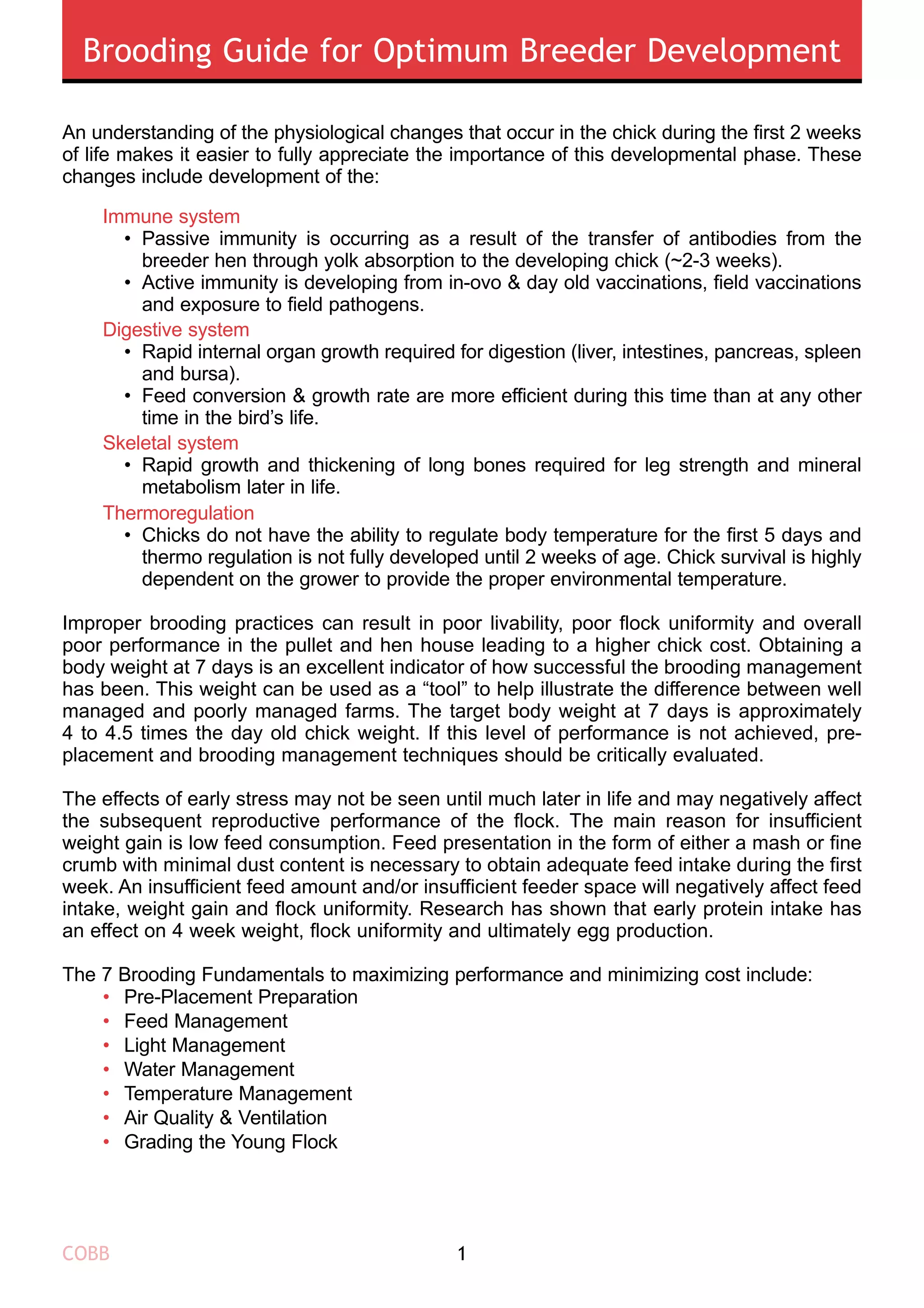 Brooding guide | PDF