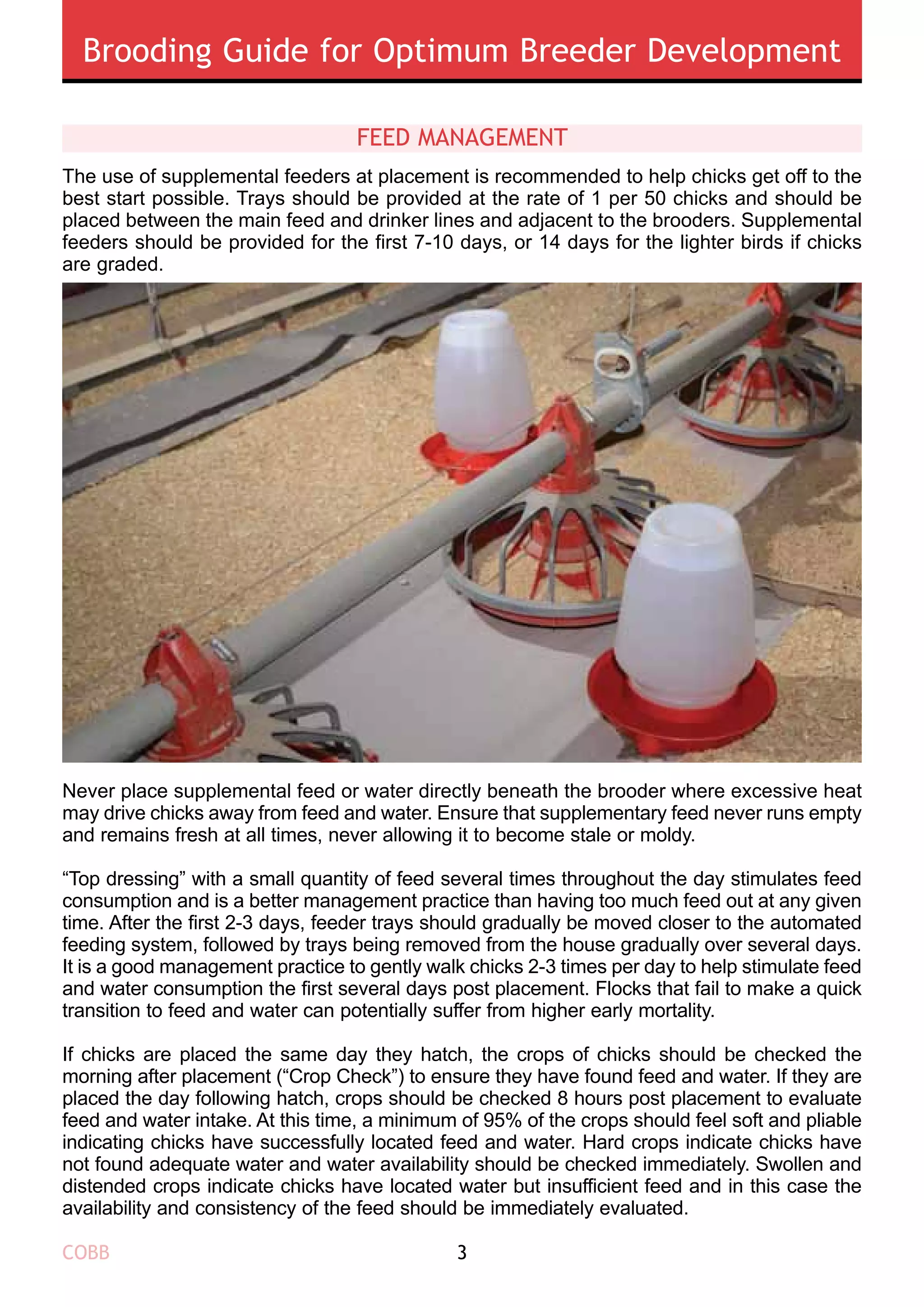 Brooding guide | PDF