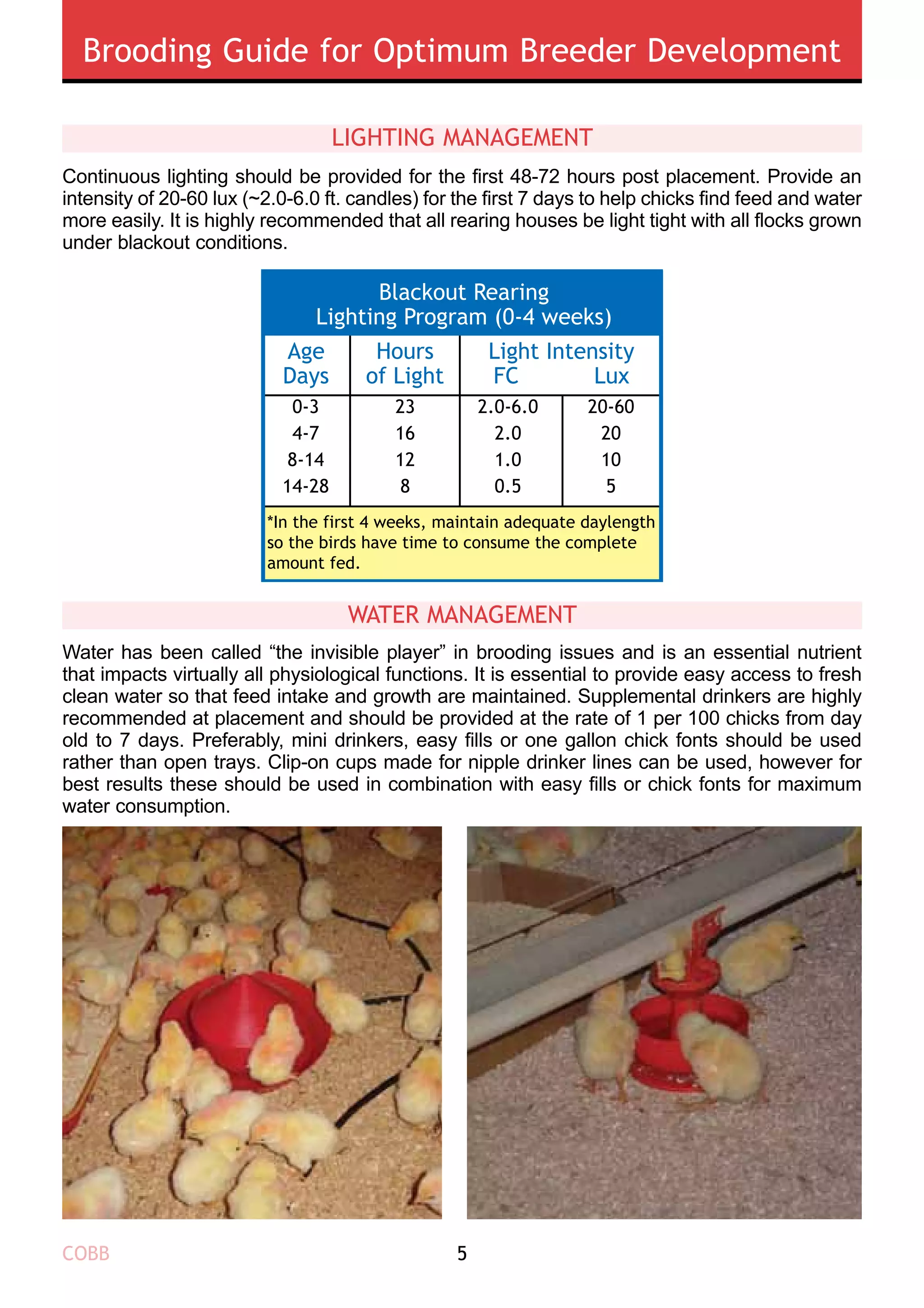 Brooding guide | PDF