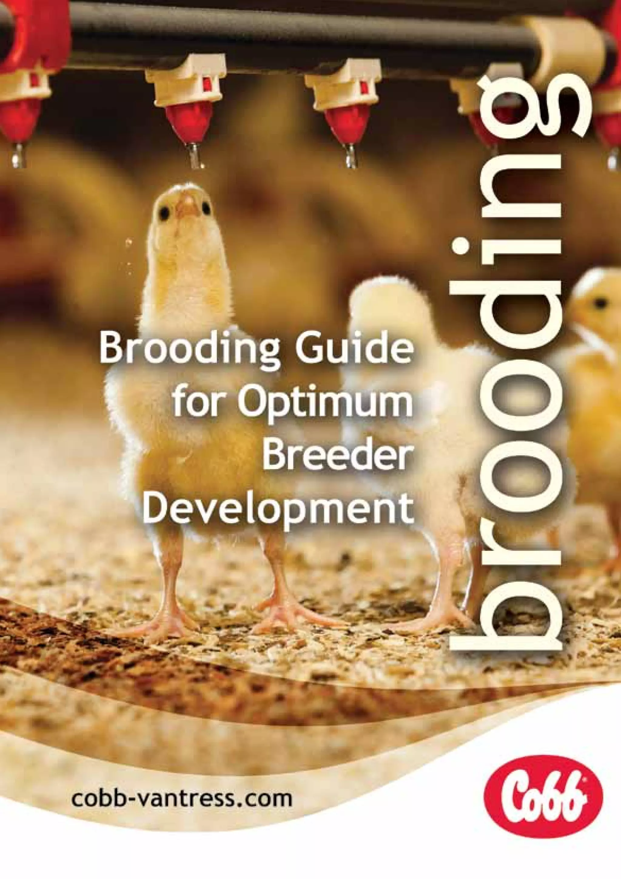 Brooding guide | PDF