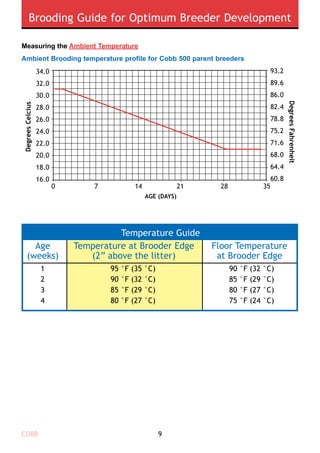 Brooding guide | PDF