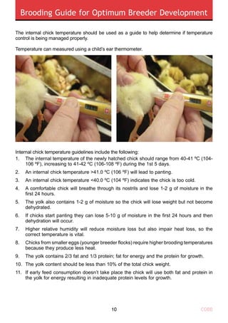 Brooding guide | PDF