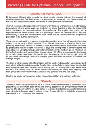 Brooding guide | PDF