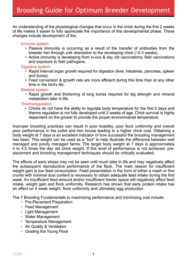 Brooding guide | PDF