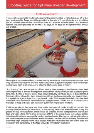 Brooding guide | PDF