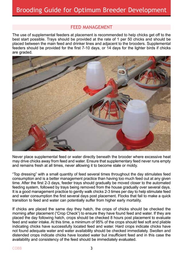 Brooding guide | PDF