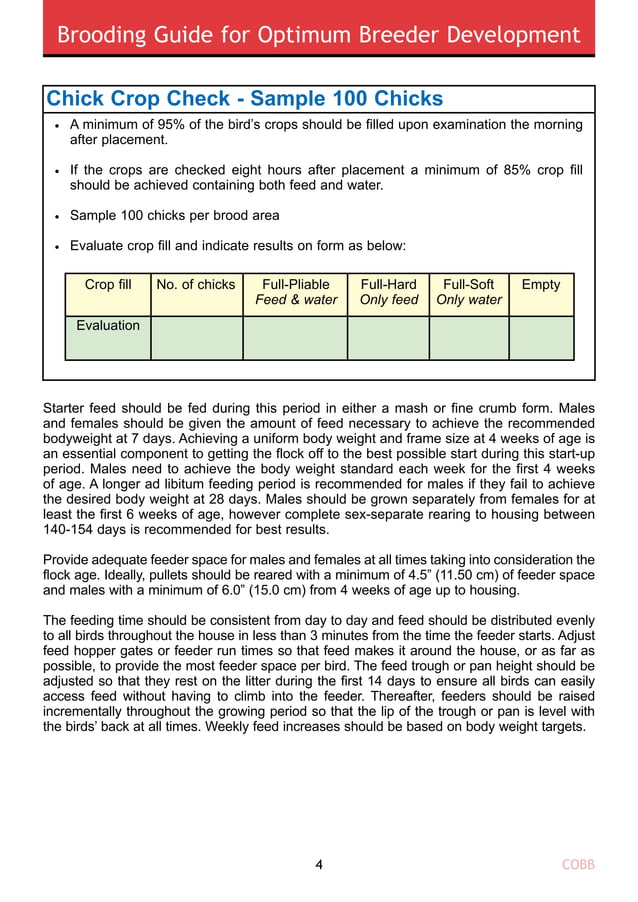Brooding guide | PDF