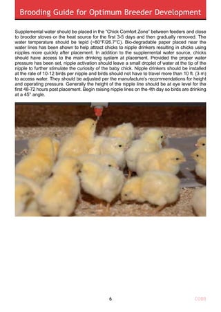 Brooding guide | PDF