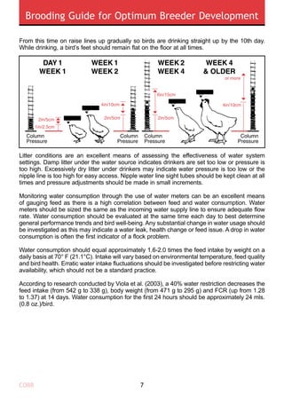 Brooding guide | PDF