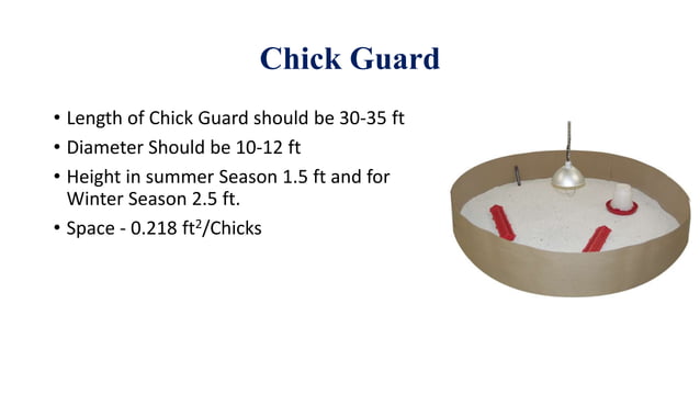 Basic Brooding house management | PPTX | Birdwatching | Hobbies & Interests