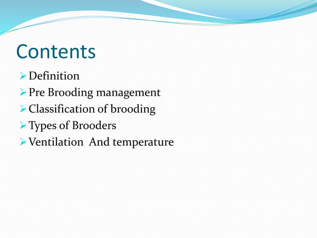 Brooding in poultry | PPTX