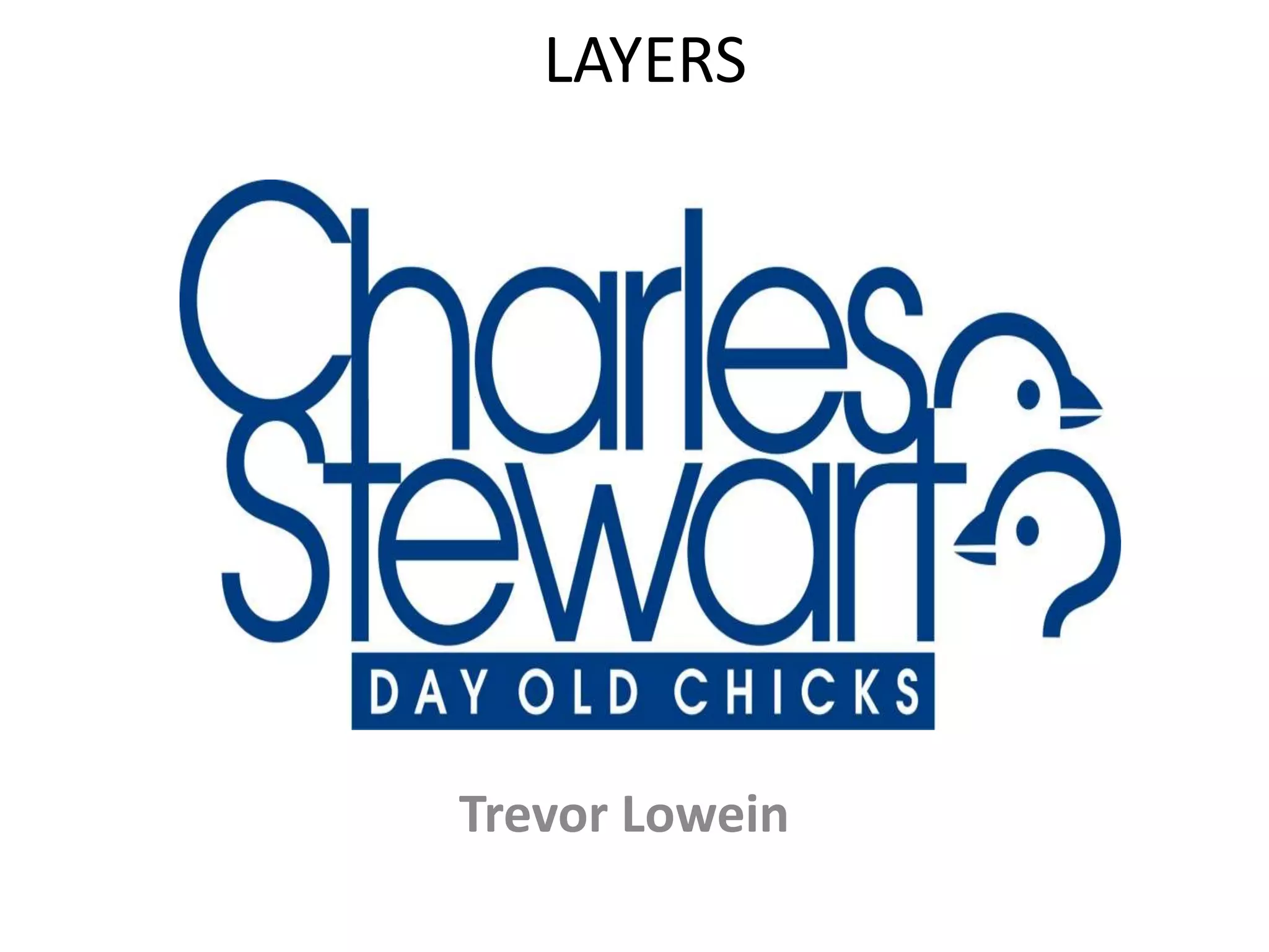 Brooding layer chicks tl | PPTX