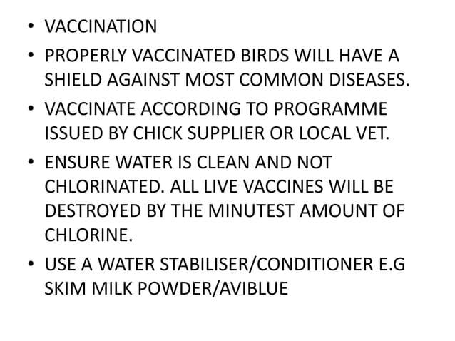 Brooding layer chicks tl | PPTX