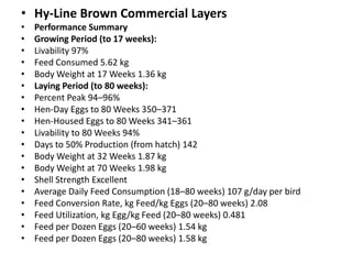 Brooding layer chicks tl | PPTX