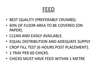 Brooding layer chicks tl | PPTX