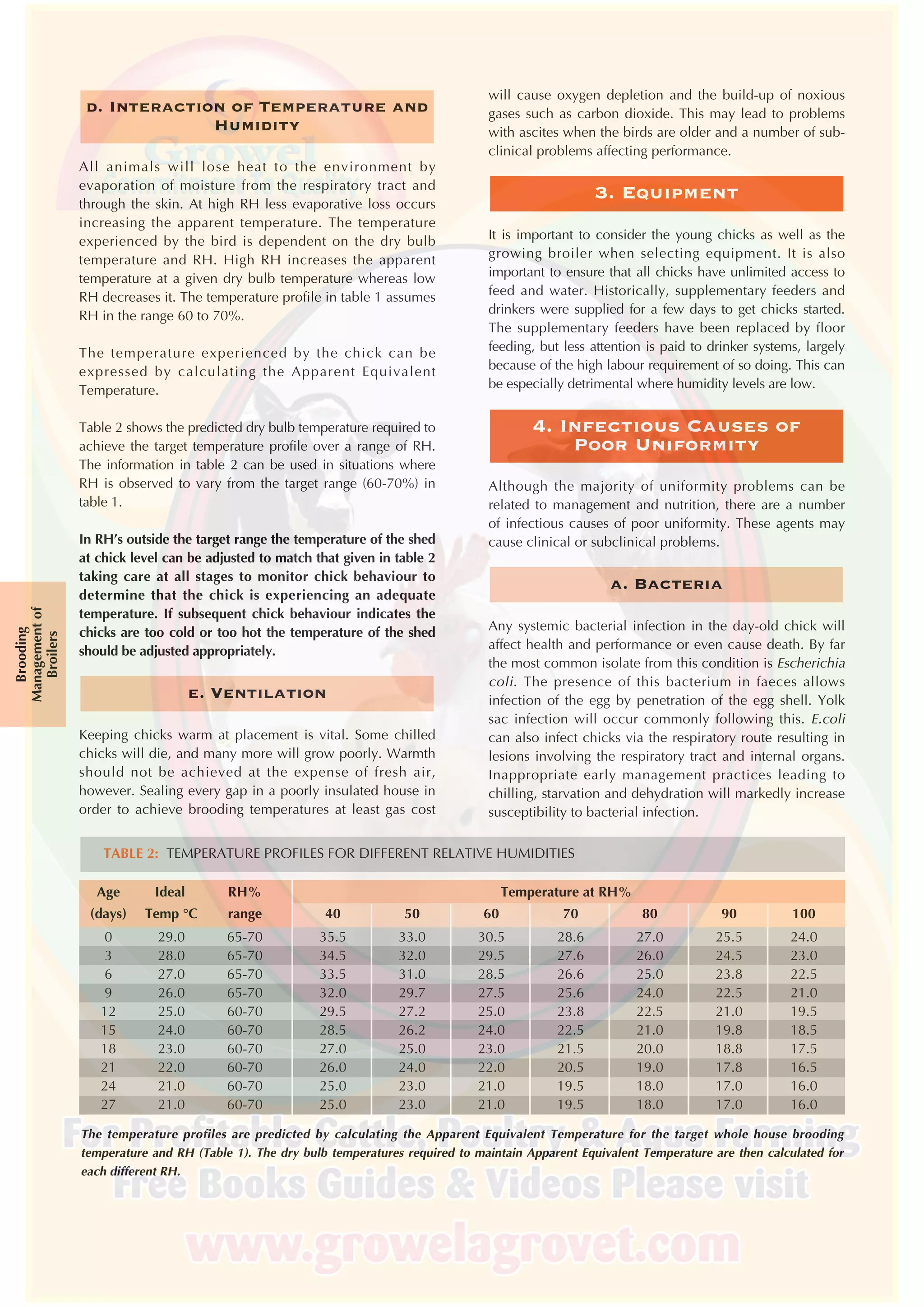 Broiler Brooding Management | PDF