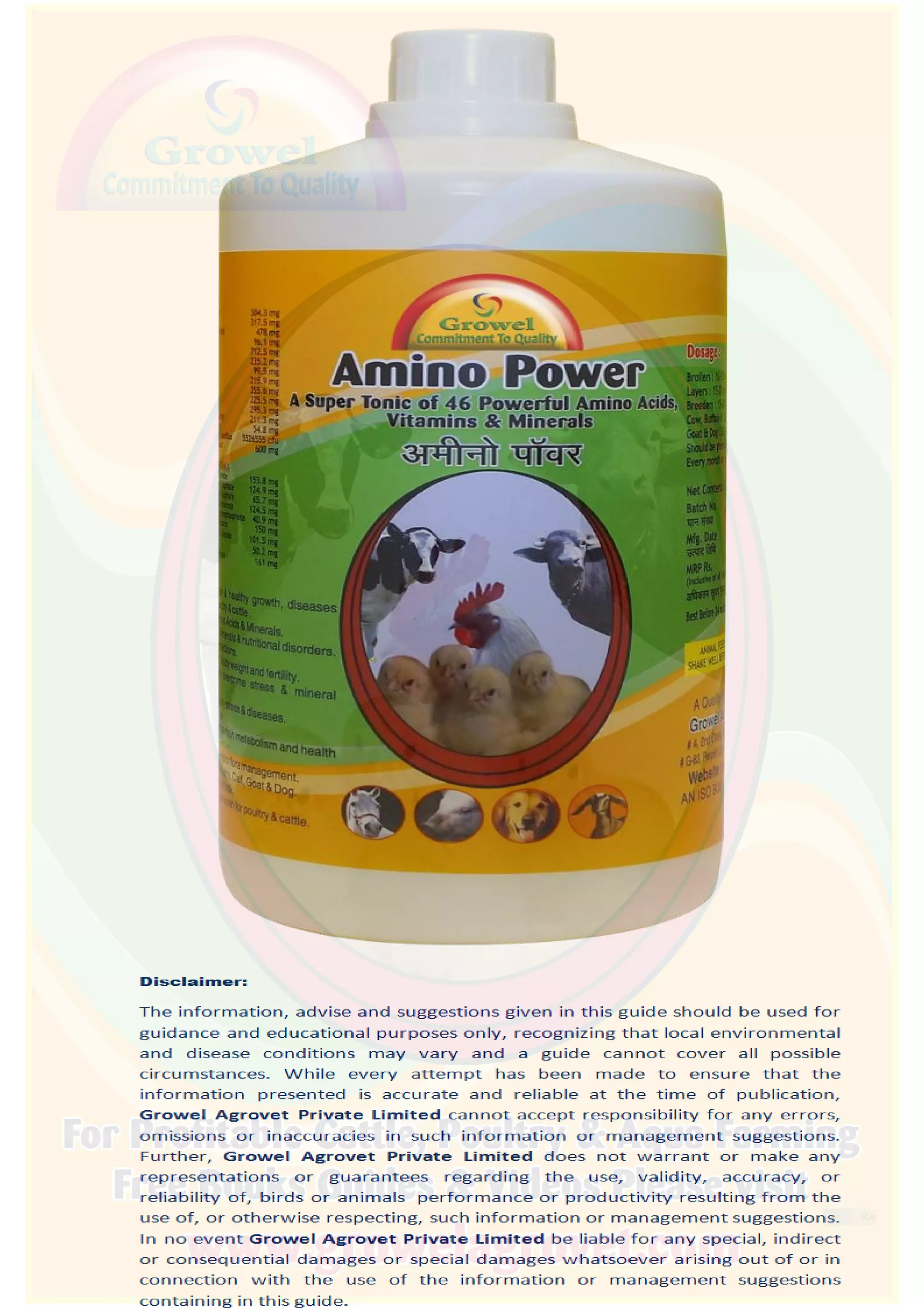 Broiler Brooding Management | PDF