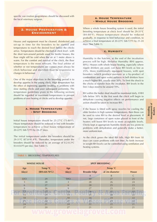 Broiler Brooding Management | PDF