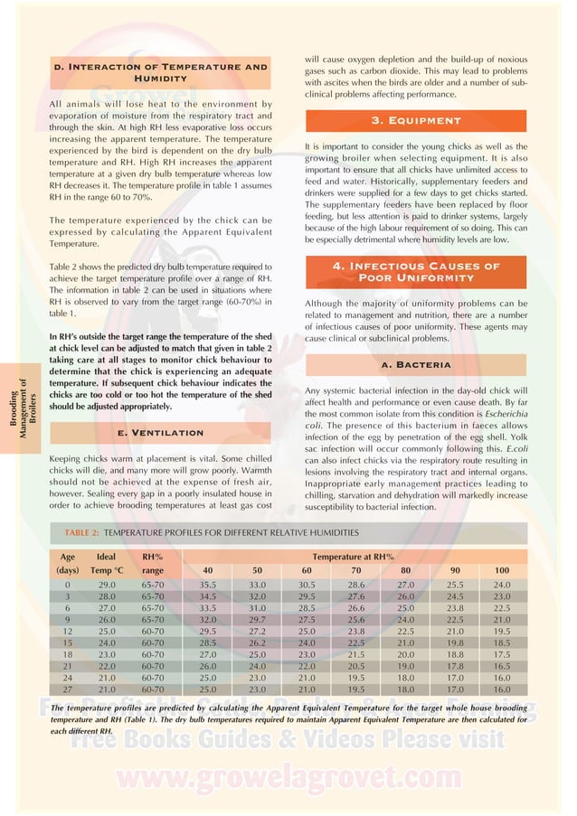Broiler Brooding Management | PDF