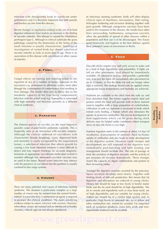 Broiler Brooding Management | PDF