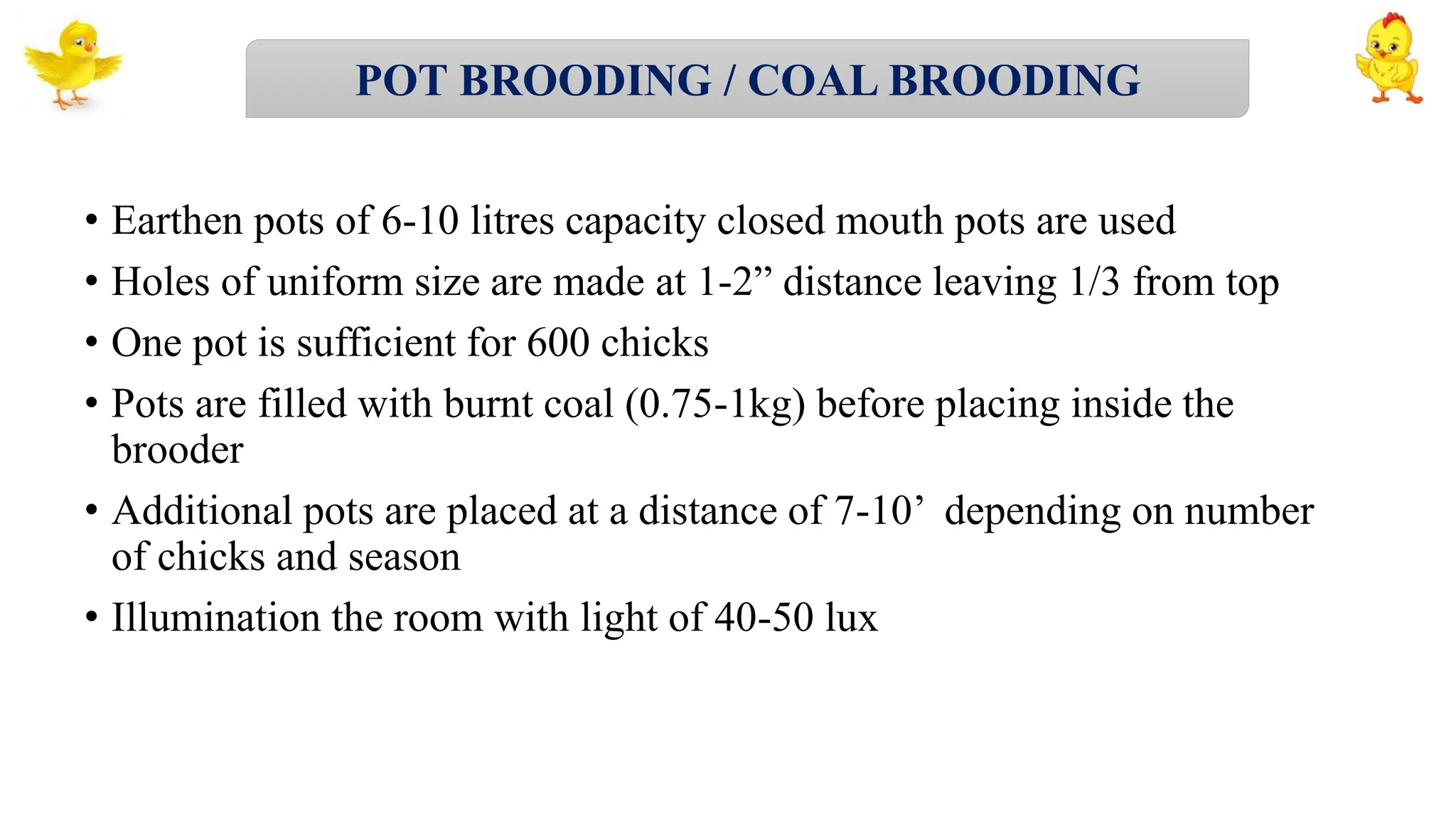 Brooding Management of domestic chicken.pptx