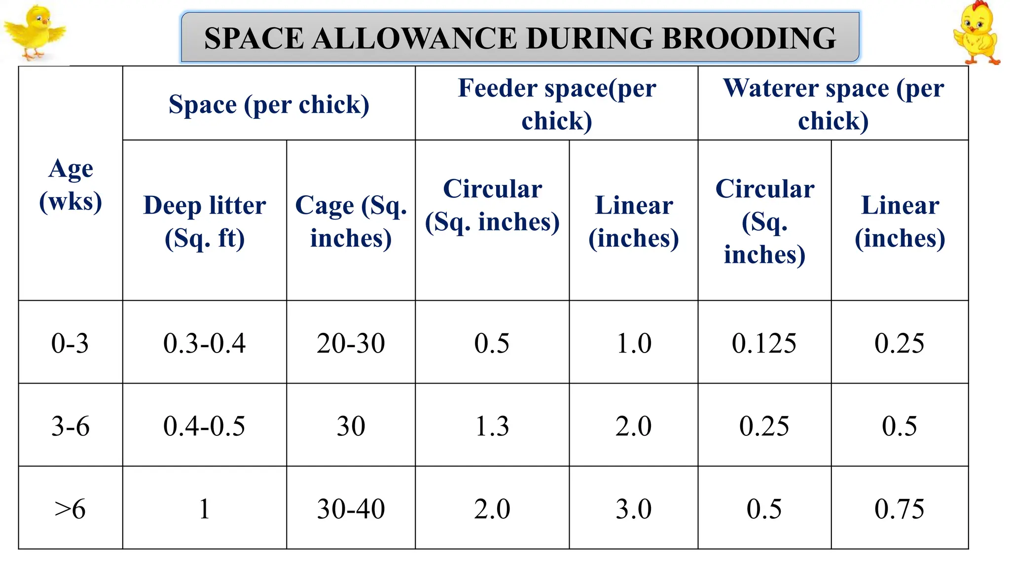 Brooding Management of domestic chicken.pptx