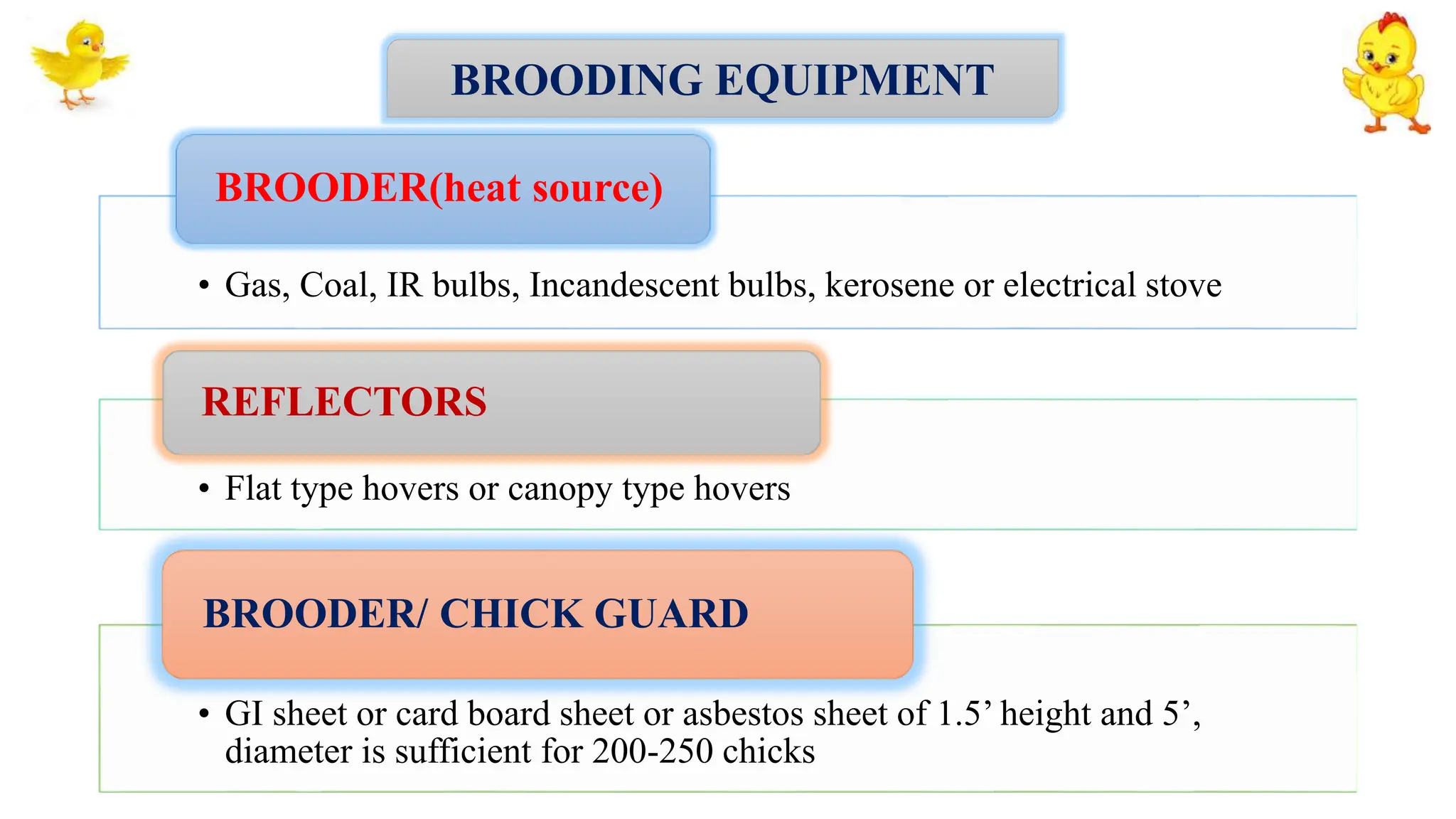 Brooding Management of domestic chicken.pptx