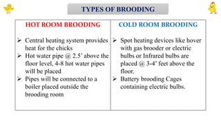 Brooding Management of domestic chicken.pptx