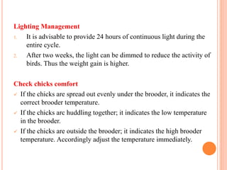 Brooding Management of. Chicks.pptx