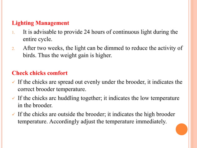 Brooding Management of. Chicks.pptx | Agriculture | Industries