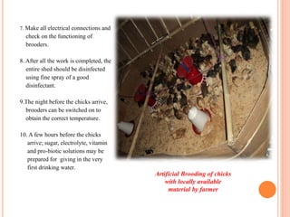 Brooding Management of. Chicks.pptx