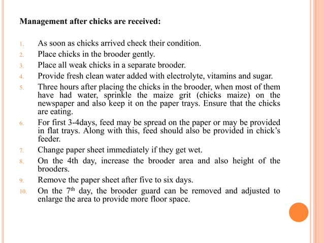 Brooding Management of. Chicks.pptx | Agriculture | Industries