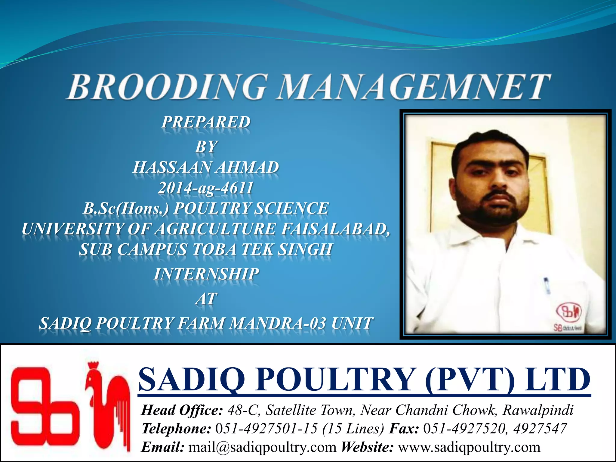 "Brooding Management of Layers Chicks" | PPTX