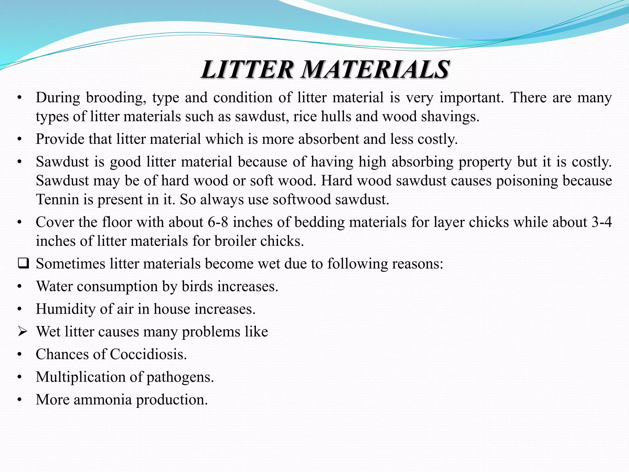 "Brooding Management of Layers Chicks" | PPTX