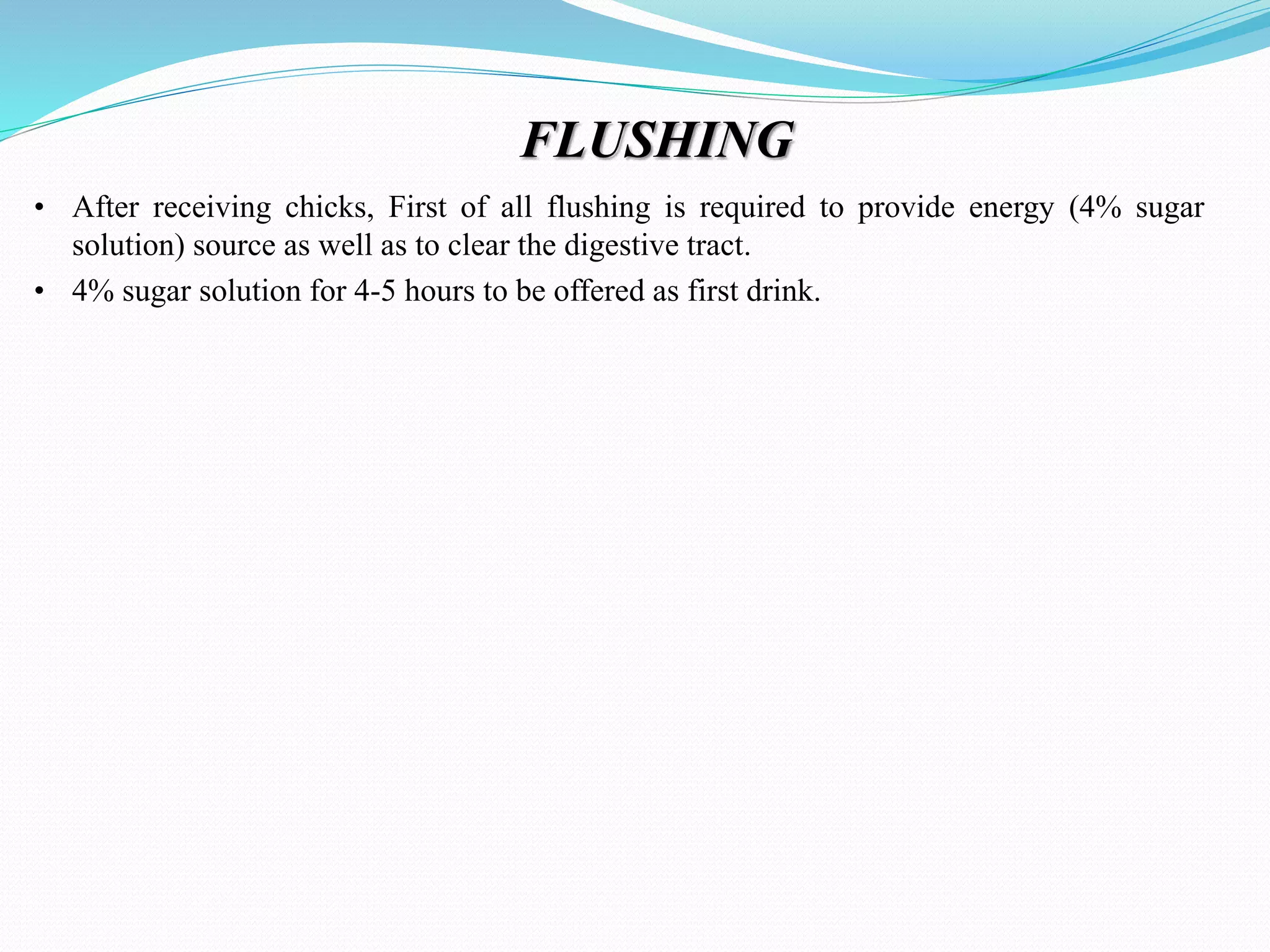 "Brooding Management of Layers Chicks" | PPTX