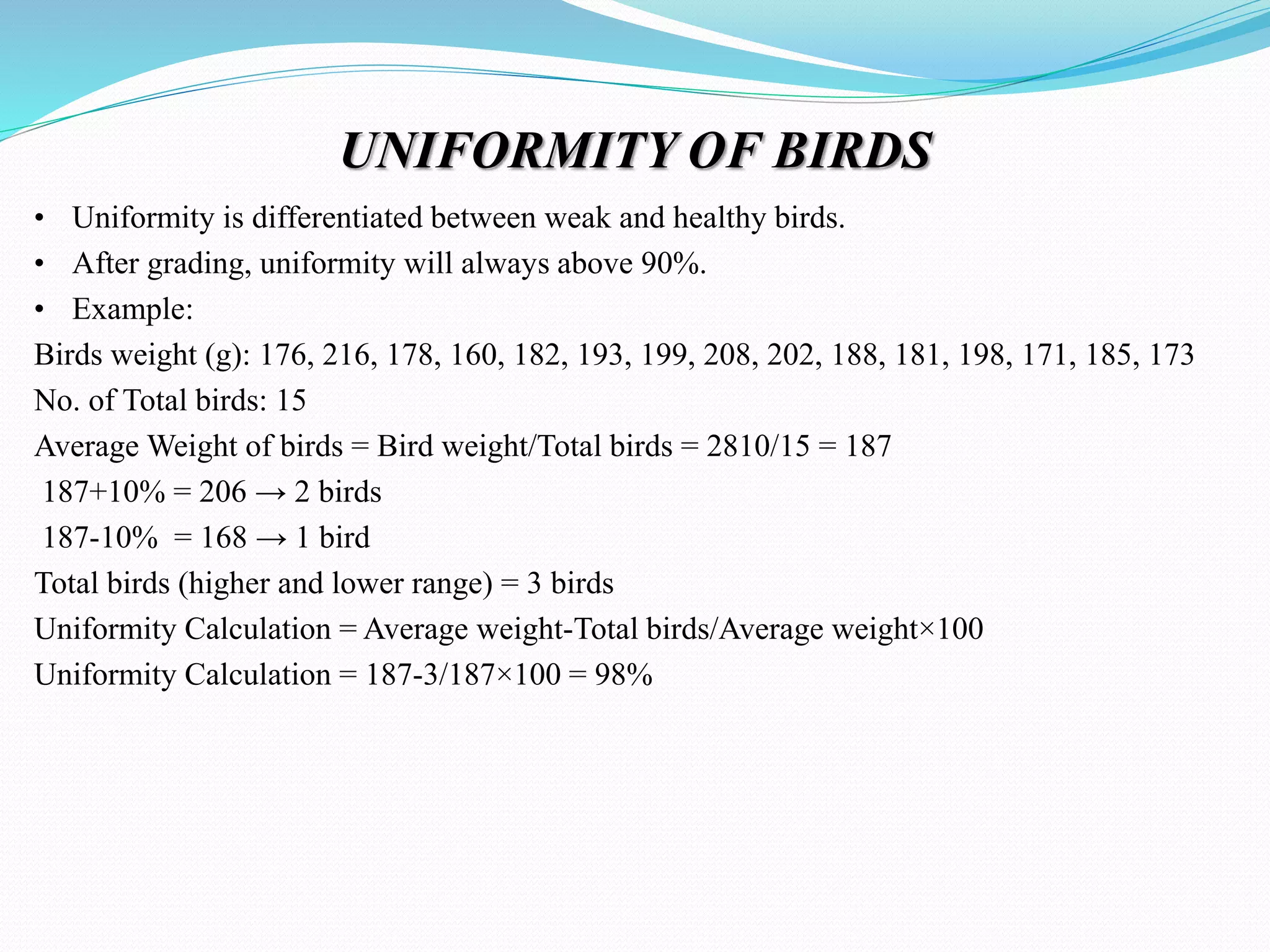 "Brooding Management of Layers Chicks" | PPTX