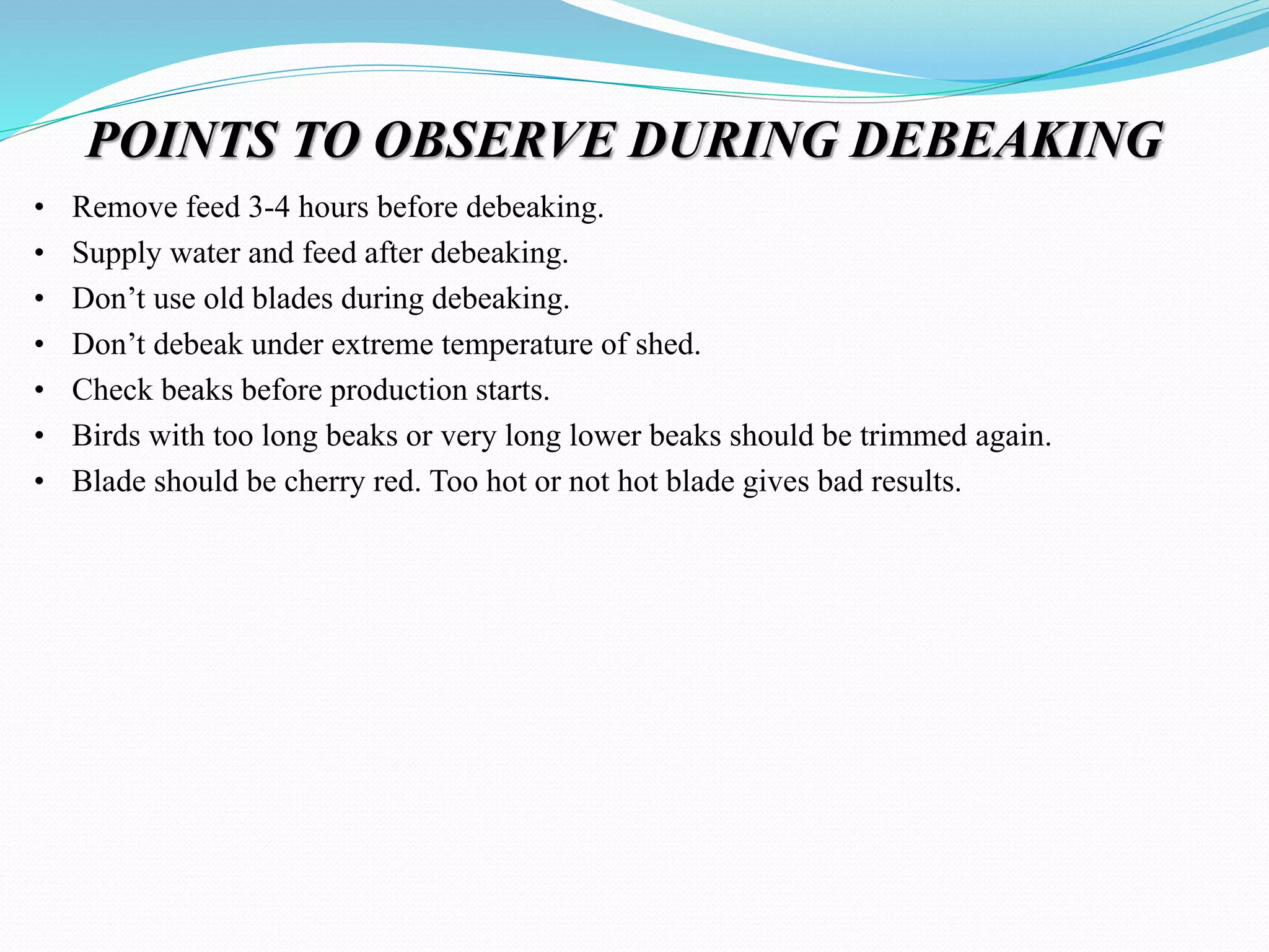 "Brooding Management of Layers Chicks" | PPTX