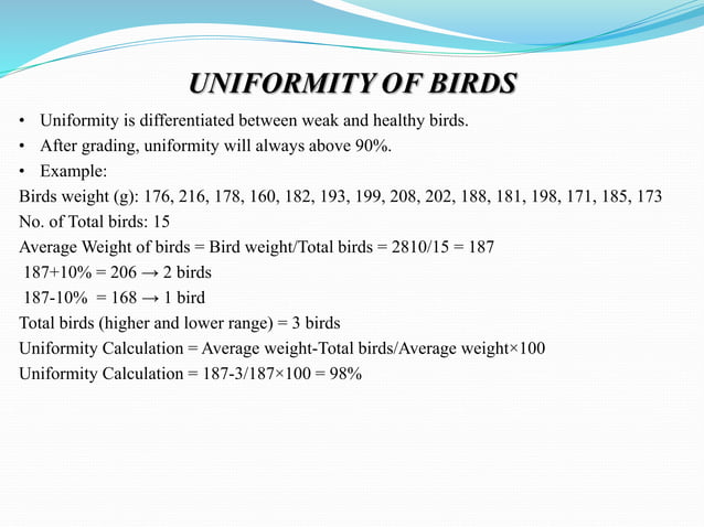 "Brooding Management of Layers Chicks" | PPTX