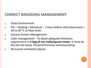 Brooding temperature practices of the broilers | PPT