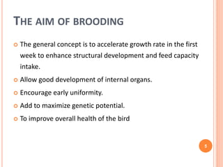 Brooding temperature practices of the broilers | PPTX