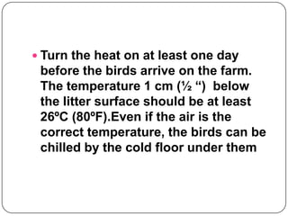 Brooding temperatures for | PPT