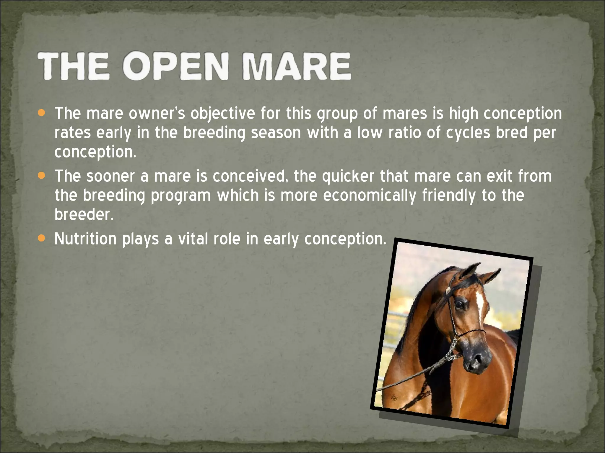 Broodmare Nutrition | PPT