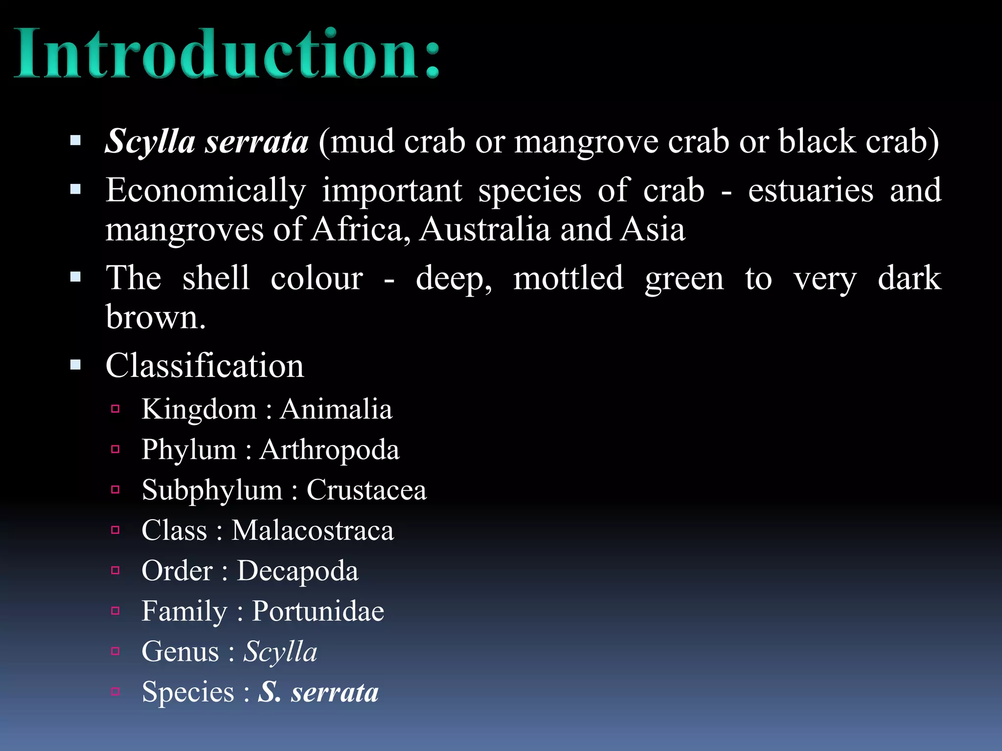 Brood stock management and larval rearing of mud crab scylla serrata ...