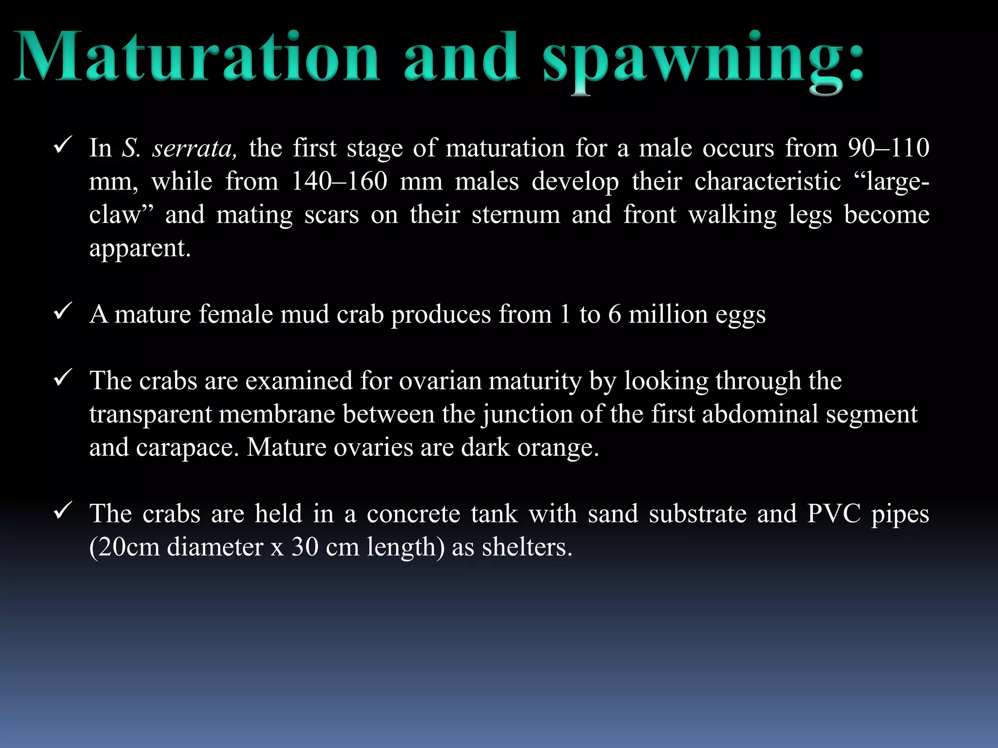 Brood stock management and larval rearing of mud crab scylla serrata ...
