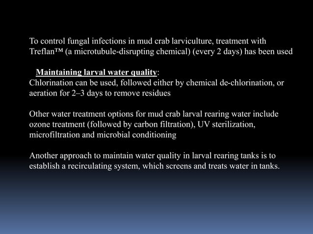 Brood stock management and larval rearing of mud crab scylla serrata ...