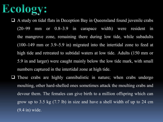 Brood stock management and larval rearing of mud crab scylla serrata ...